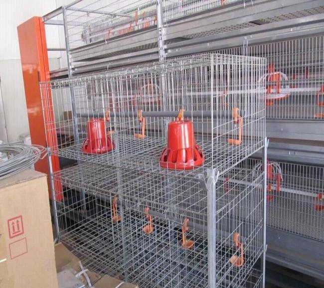 Automatic Galvanized 3 4 Tiers a Type Battery Egg Chicken Layer Cage