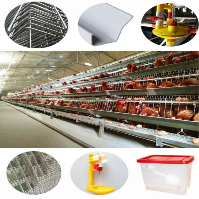 Automatic Galvanized 3 4 Tiers a Type Battery Egg Chicken Layer Cage