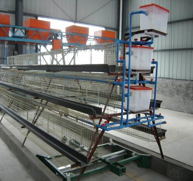 Automatic Galvanized 3 4 Tiers a Type Battery Egg Chicken Layer Cage