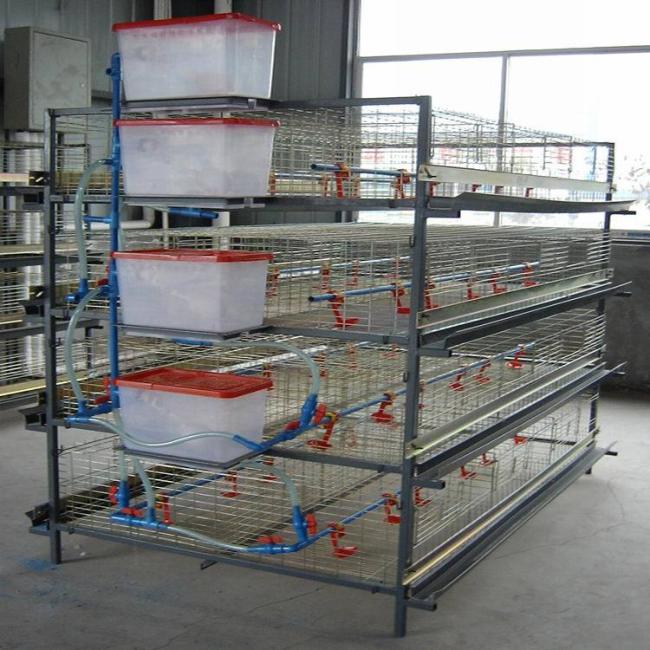 Automatic Galvanized 3 4 Tiers a Type Battery Egg Chicken Layer Cage