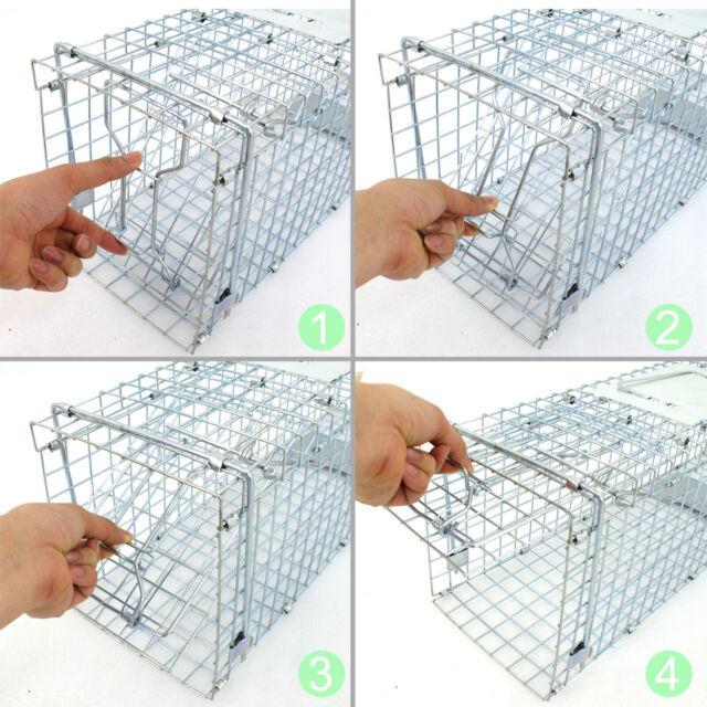 Large One Door Catch Release Heavy Duty Cage Live Animal Trap for Gophers / Oppossums Groundhogs Beavers