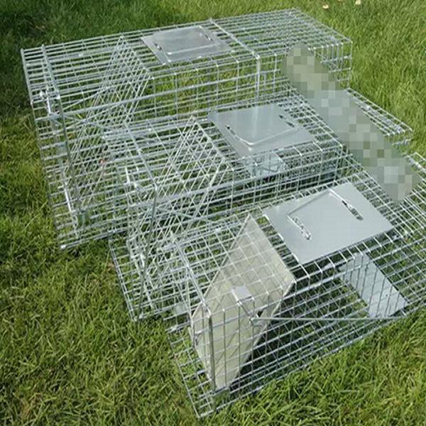 Large One Door Catch Release Heavy Duty Cage Live Animal Trap for Gophers / Oppossums Groundhogs Beavers
