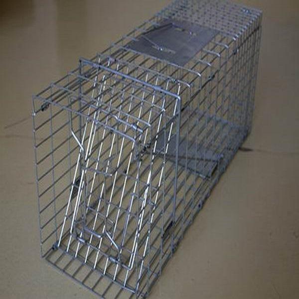 Large One Door Catch Release Heavy Duty Cage Live Animal Trap for Gophers / Oppossums Groundhogs Beavers