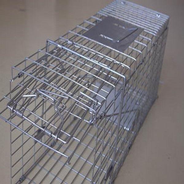 Large One Door Catch Release Heavy Duty Cage Live Animal Trap for Gophers / Oppossums Groundhogs Beavers