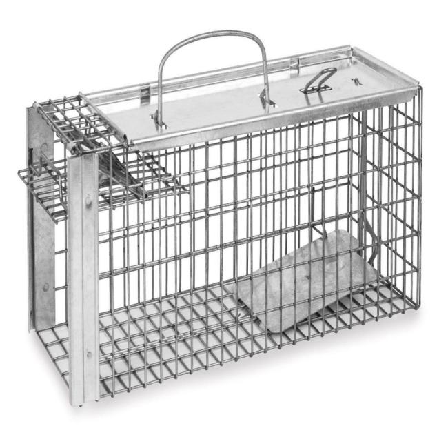 Large One Door Catch Release Heavy Duty Cage Live Animal Trap for Gophers / Oppossums Groundhogs Beavers