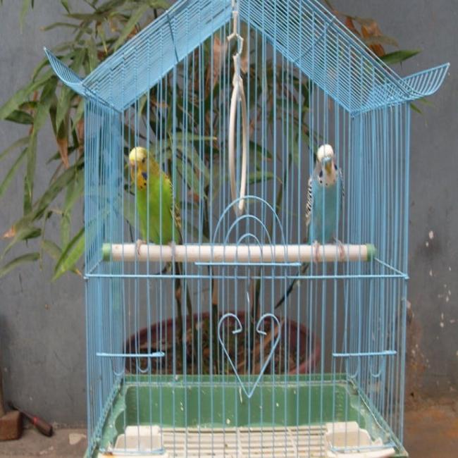Detachable Electroplating Stainless Steel Large Bird Cages with Stand for Parrots