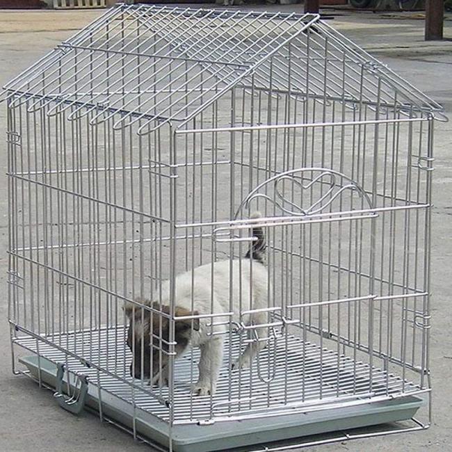 Double Door &amp; Locking Caster Design Dog Cage