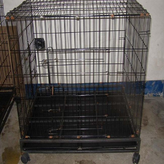 Double Door &amp; Locking Caster Design Dog Cage