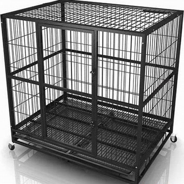 Double Door &amp; Locking Caster Design Dog Cage