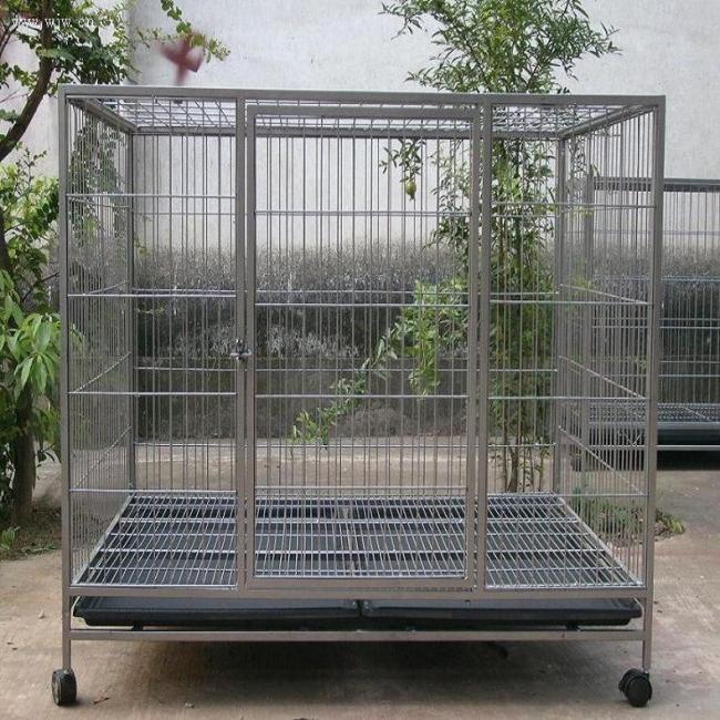 Double Door &amp; Locking Caster Design Dog Cage