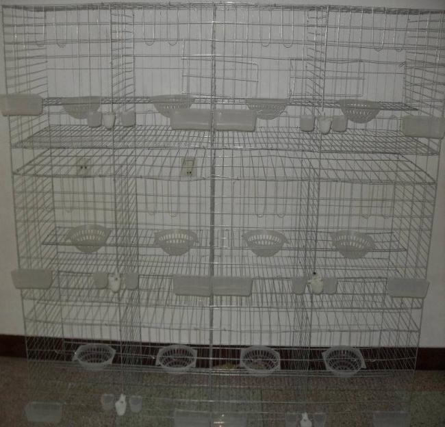 4 Tiers Wire Mesh Racing Pigeon Breeding Cages
