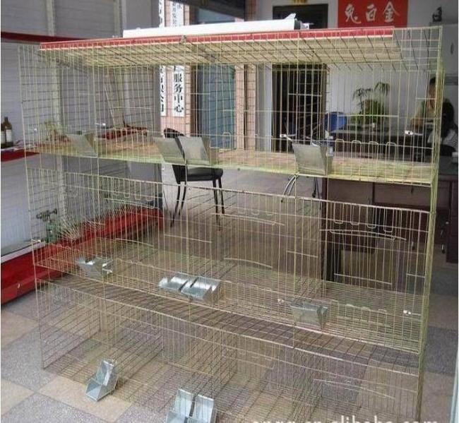 4 Tiers Wire Mesh Racing Pigeon Breeding Cages