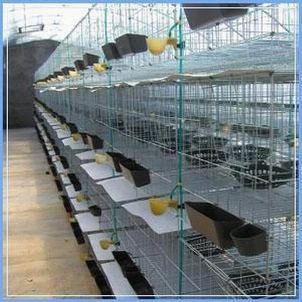 4 Tiers Wire Mesh Racing Pigeon Breeding Cages