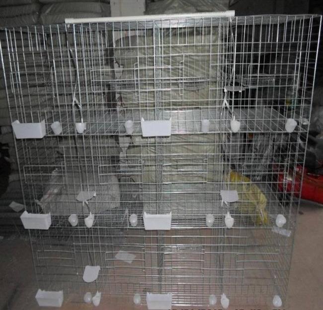 4 Tiers Wire Mesh Racing Pigeon Breeding Cages
