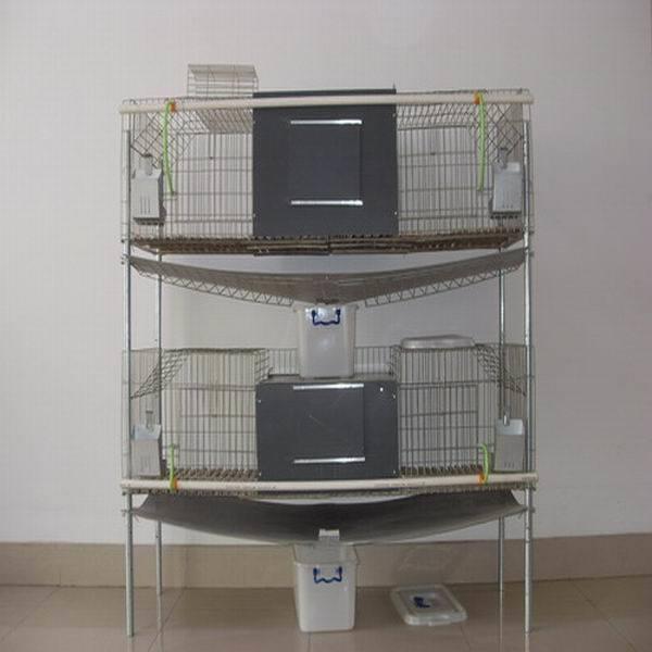 Good Quality Convenient Enclosed Pet Rabbit Cage for Rabbit Crate Outdoor Cage