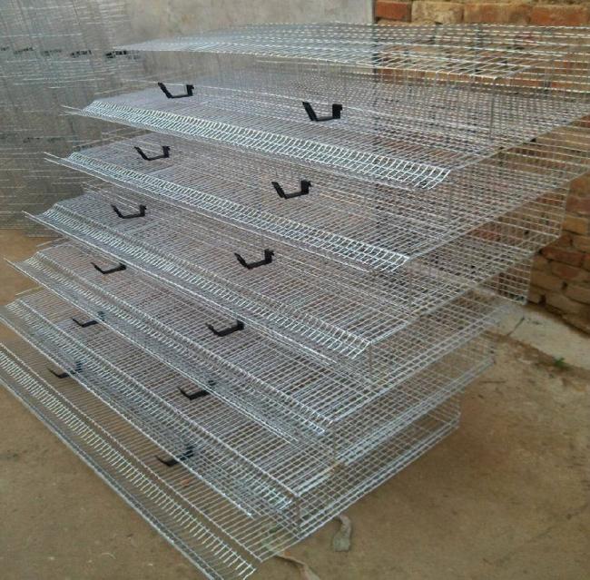 High Quality Commercial Fully Automatic Quail Laying Battery Cage System and Equipment