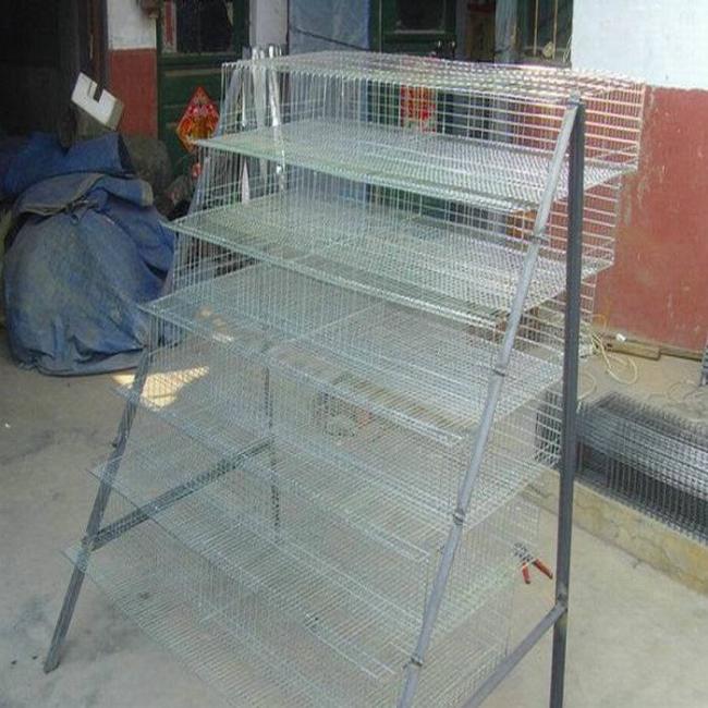 Full Automatic Feeding Metal Quail Laying Cage Water Drinker