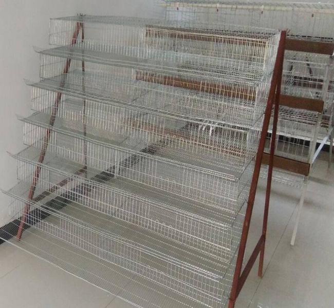 Wholesale Full Automatic Wire Mesh Quail Cage