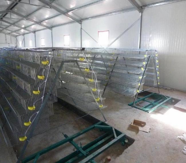 Wholesale Full Automatic Wire Mesh Quail Cage