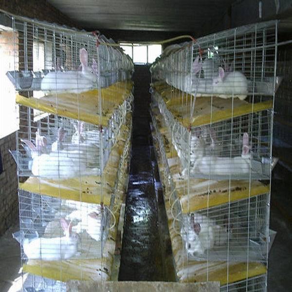Factory Supply 2, 6, 9, 12 Doors Large Rabbit Commercial Farming Galvanized Rabbit Cage