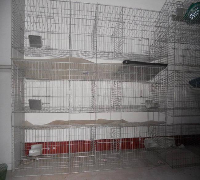 Good Quality Commercial Metal Rabbit Breeding Cage