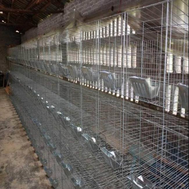 Good Quality Commercial Metal Rabbit Breeding Cage