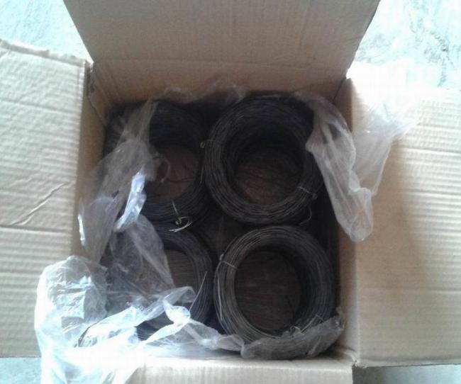 Bwg18 Double Wire Twisted Black Annealed Wire/Double Twisted Annealed Wire