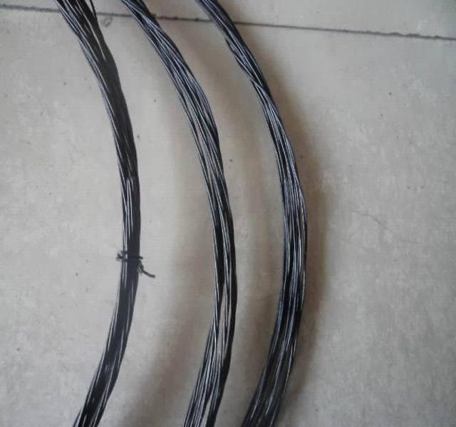 Bwg18 Double Wire Twisted Black Annealed Wire/Double Twisted Annealed Wire