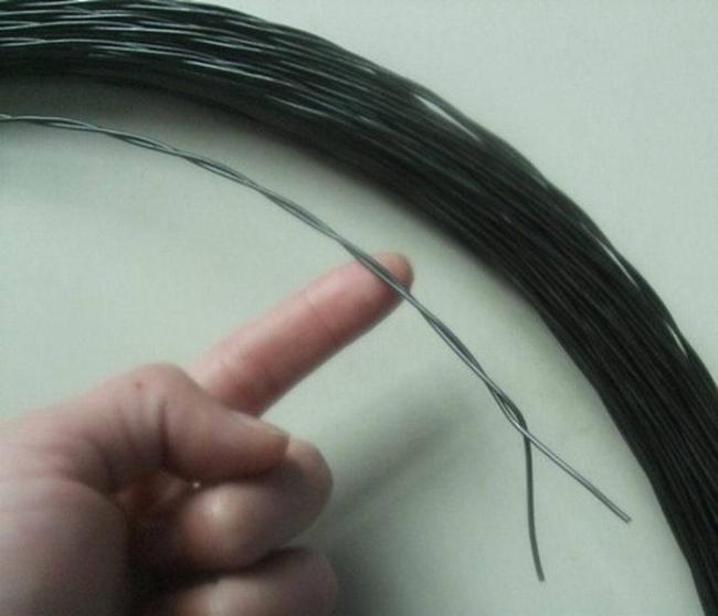 Bwg18 Double Wire Twisted Black Annealed Wire/Double Twisted Annealed Wire