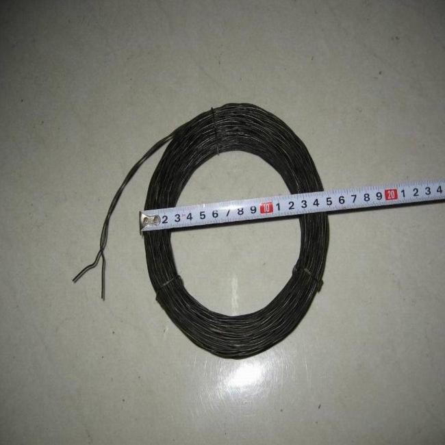 Bwg18 Double Wire Twisted Black Annealed Wire/Double Twisted Annealed Wire