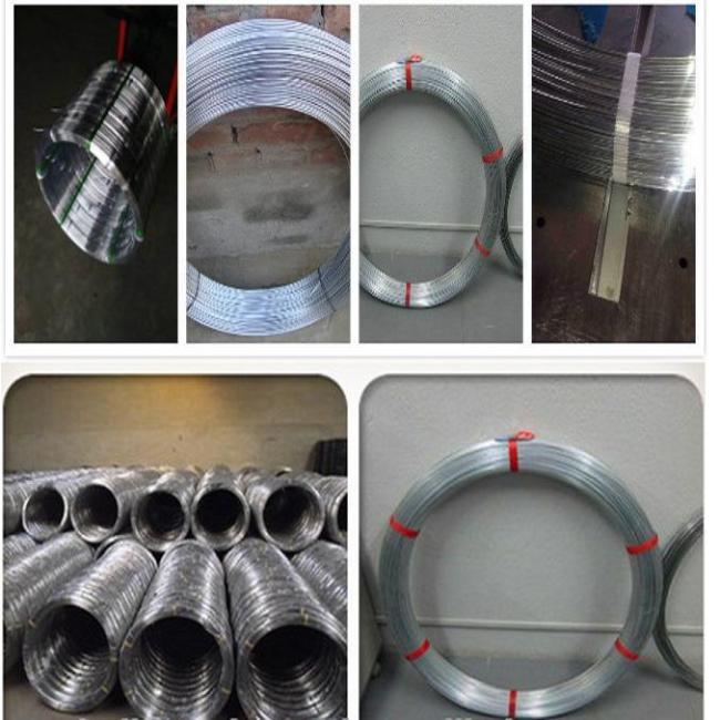 2.4X3.0mmm (17/15) 1000m 1250m Oval Galvanized Wire