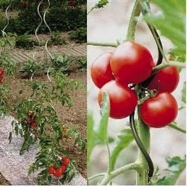 Tomato Growing Spiral/Plant Support Wire/Tomato Spiral Wire