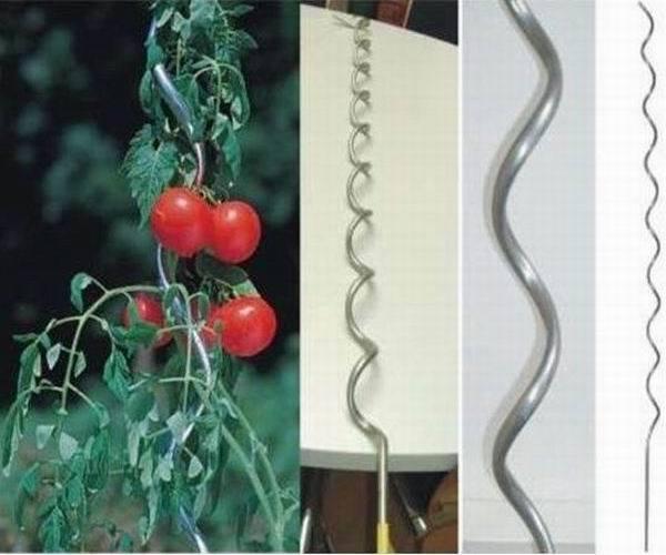 Durable and Robust Tomato Growing Spiral Stake Plant Growing Support Wire