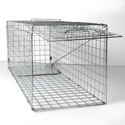 China Large One Door Catch Release Heavy Duty Cage Live Animal Trap for Gophers / Oppossums Groundhogs Beavers for sale