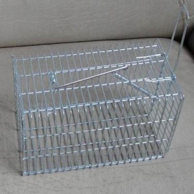 China Large One Door Catch Release Heavy Duty Cage Live Animal Trap for Gophers / Oppossums Groundhogs Beavers for sale
