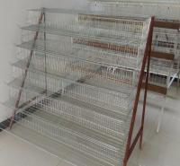 China Automatic Quail Battery Cage System 1.8m x 0.6m with Water System for 240 Birds for sale