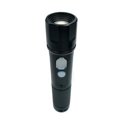 Cina Sistemi di allarme Night Patrol Varie lingue Software 101S Security 170g in vendita