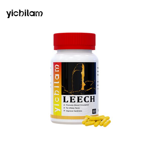 Quality Natural Leech Herbal Supplement Customized Leech Capsules Enhance Hardness And Endurance for sale