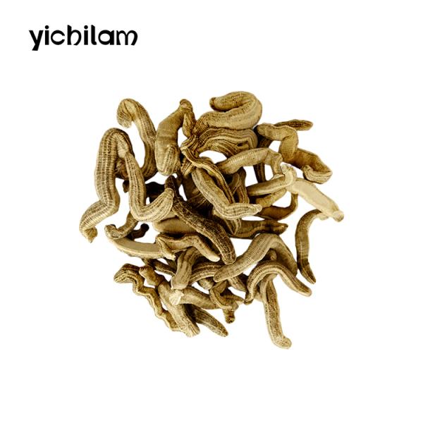 Quality Convenient Dried Medical Leeches Versatile For Nutraceutical Biomedical Applications for sale