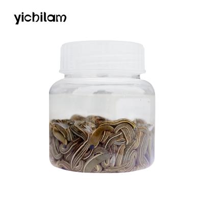 China Certified Medicinal Leeches For Professional Hirudotherapy Clinical Use for sale