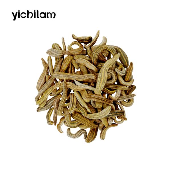 Quality Nutritive Dried Leech High Potency Safe Food Grade For Biomedical Formulations for sale