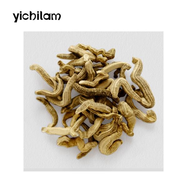 Quality High Potency Dried Medical Hirudo 600ATU/G Standardized For CGMP Nutraceutical for sale