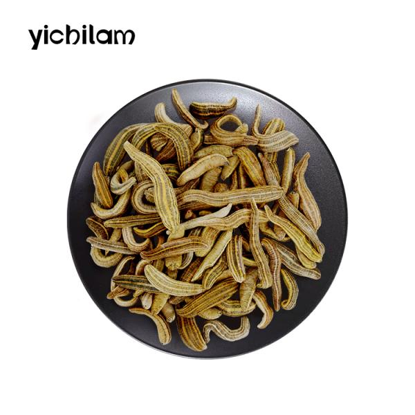 Quality Natural Dried Hirudo Nipponia Leeches Food Grade For Therapeutic Applications for sale