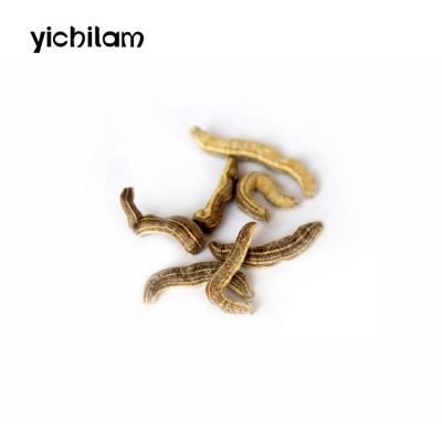 China High Potency Dried Leech Freeze Dried Hirudin Standardized For TCM Applications for sale