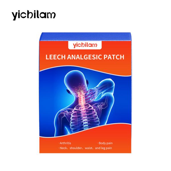 Quality Traditional Chinese Herbal Leech Extract Patch for Back, Waist and Joint Care for sale