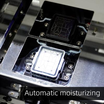 China 45cm Small DTF Printing Equipment Incorporates Smart LED Lighting And Alerts for sale