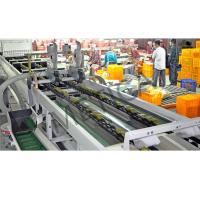 China Automatic High Speed Fruit Labeling Machine for sale