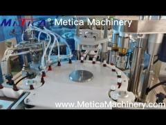 de Capaciteit van de Druivenjuice bottling line easy maintenance 2000-3000BPH van 220V 5kw