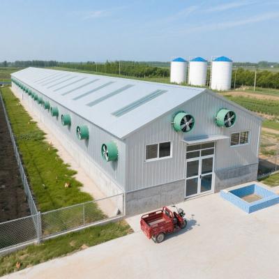 China Low Price Modern Prefabricated Steel Structure Chicken House Farm Building for sale