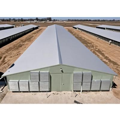China Commercial Steel Structure Prefab Chicken Broiler Poultry Farm Building for sale